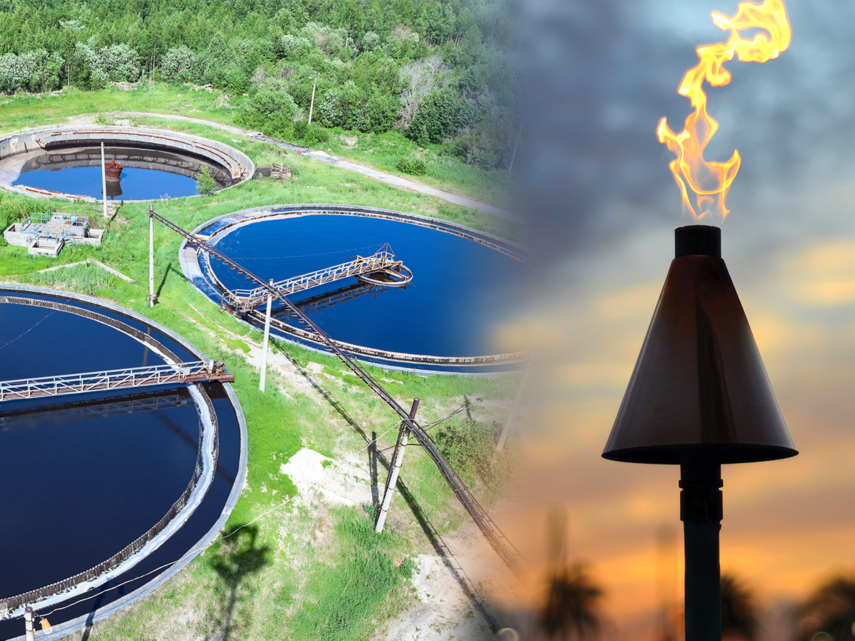 Work - Olomana Loomis ISC